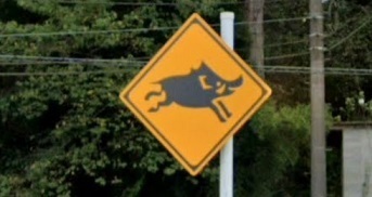 動物注意標識・イノシシ: ストリートビュー散策